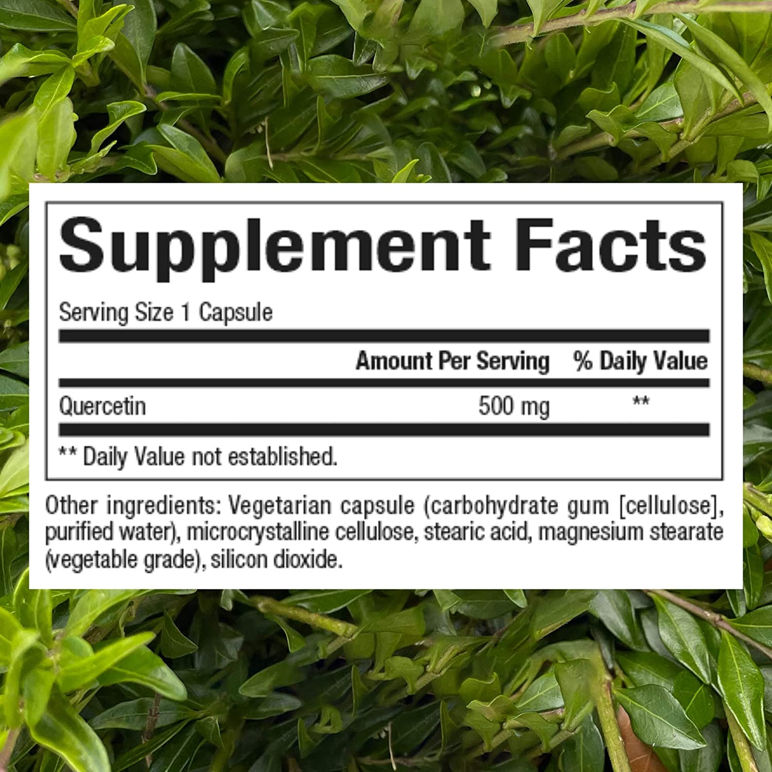 Natural Factors - Quercetin 500mg - 60 v caps – Highland Health Foods